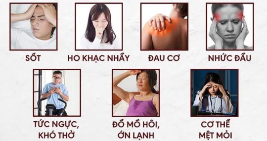 Ho Mãn Tính Là Gì? Dấu Hiệu Và Cách Điều Trị Bệnh